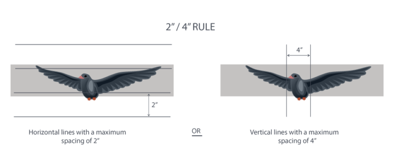 Bird Friendly Glass | VITRUM™ Glass Group