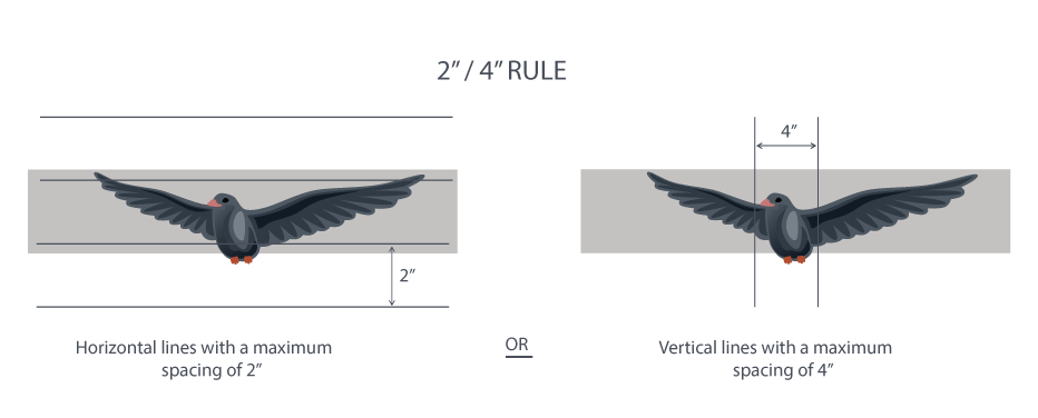 Bird Friendly Glass | VITRUM™ Glass Group