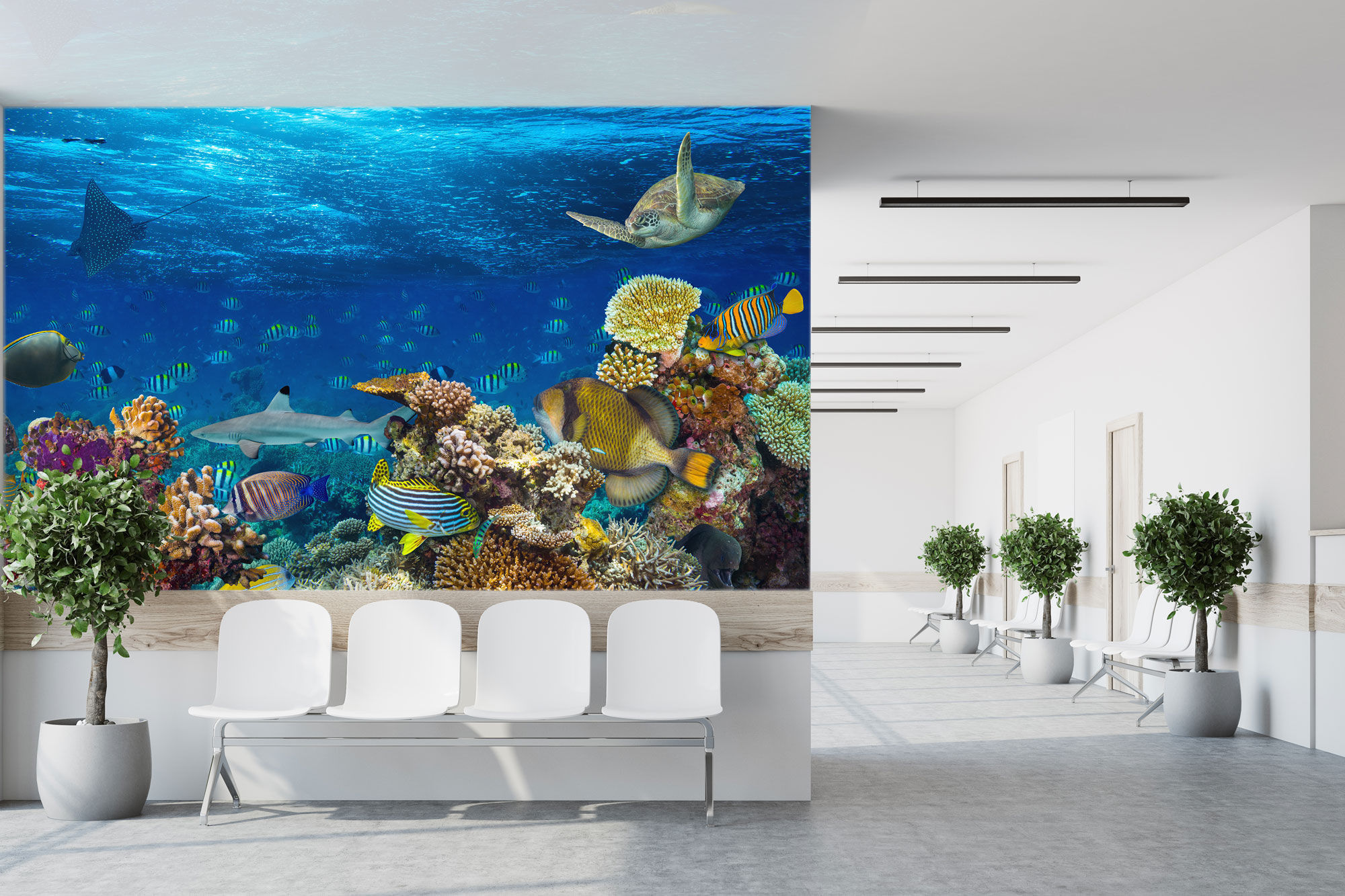 Biophilic Design: A “Natural” Glazing Option | VITRUM™ Glass Group